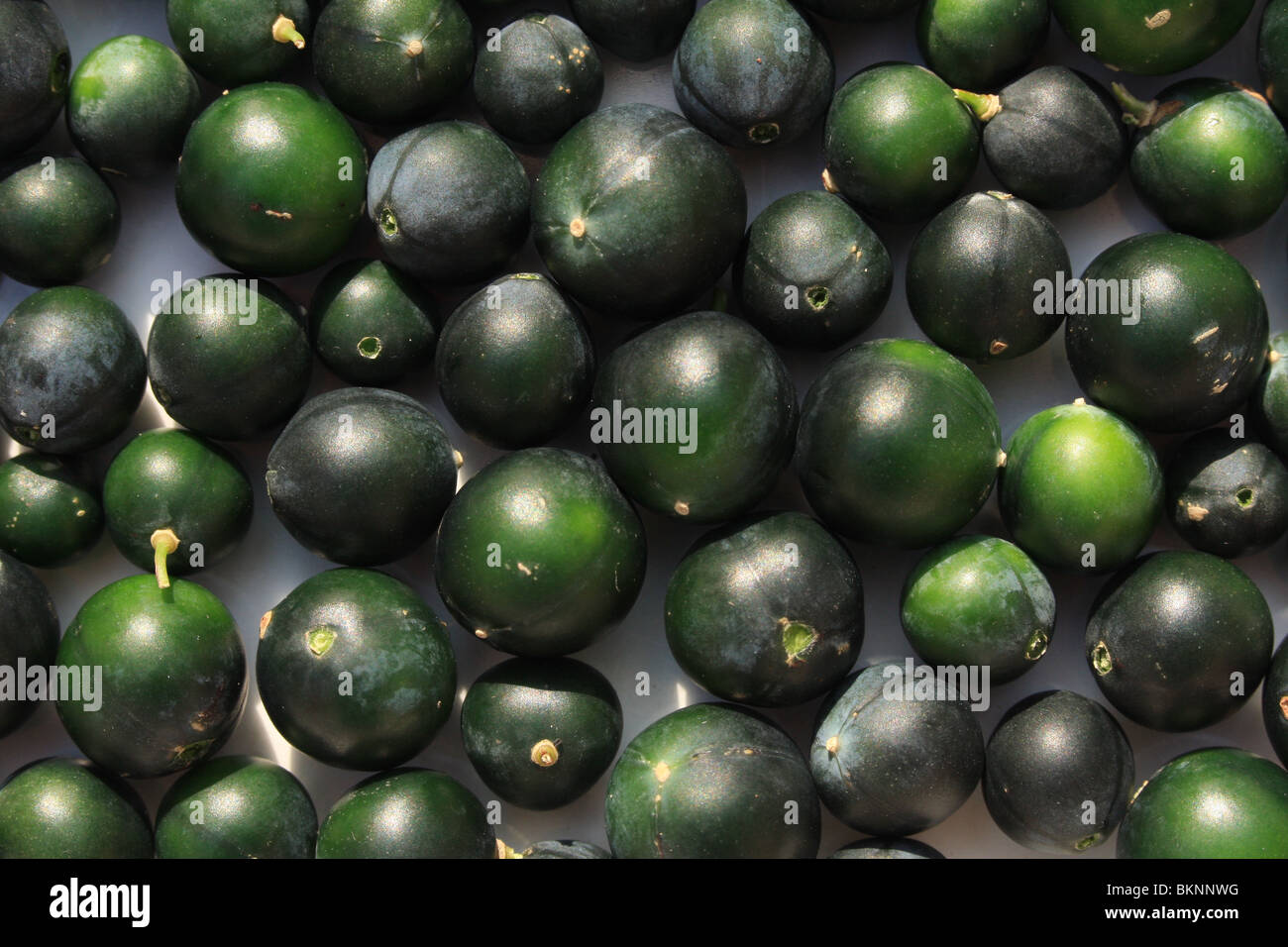 Bessen hi-res stock photography and images - Alamy