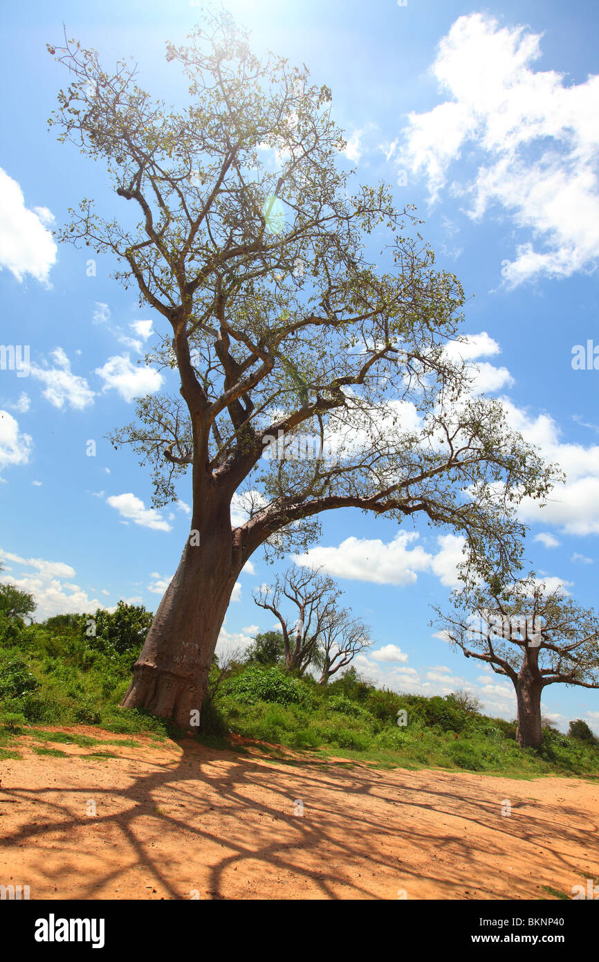 Mombasa Highway High Resolution Stock Photography and Images - Alamy