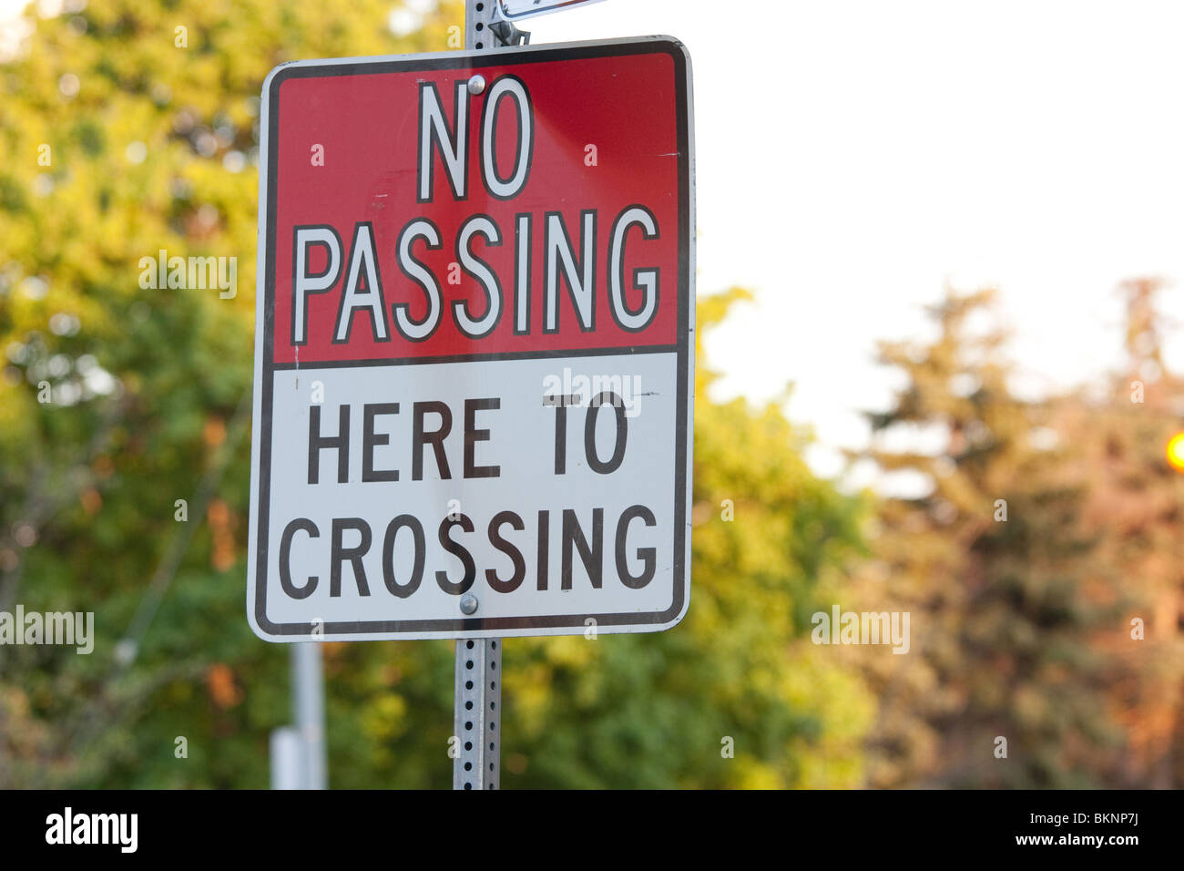 no passing crossing sign tree road street city Stock Photo - Alamy
