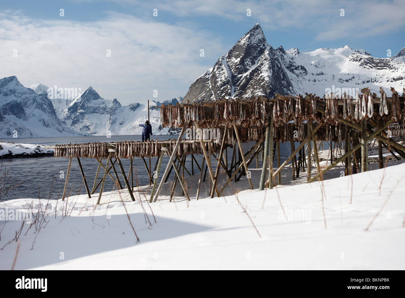 Baccala italy fish cod hi-res stock photography and images - Alamy