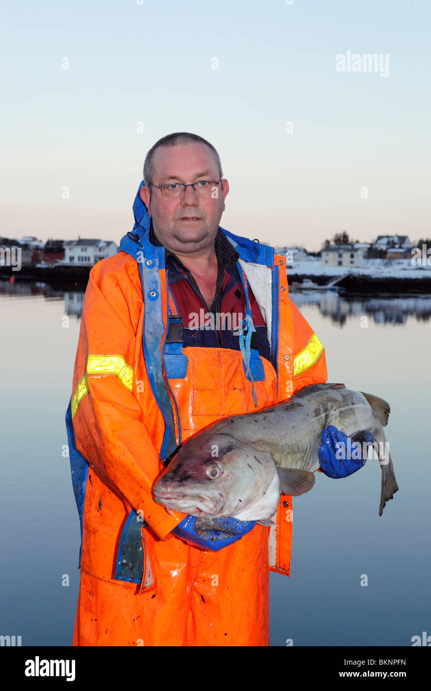 A fisherman holds one of his line-caught cod fish in Ballstad fishing ...