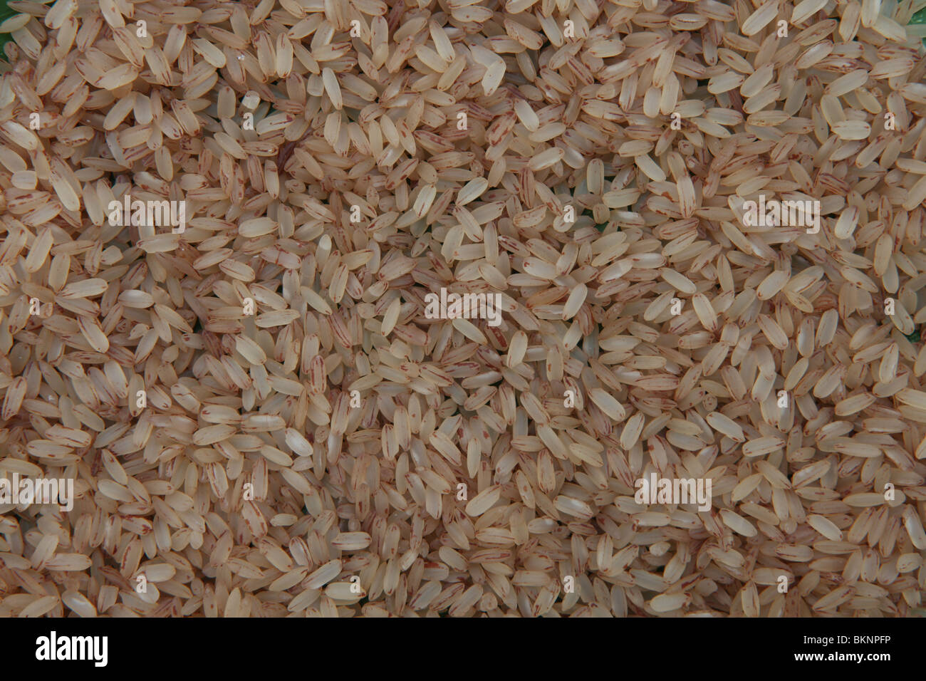 Matta hi-res stock photography and images - Alamy