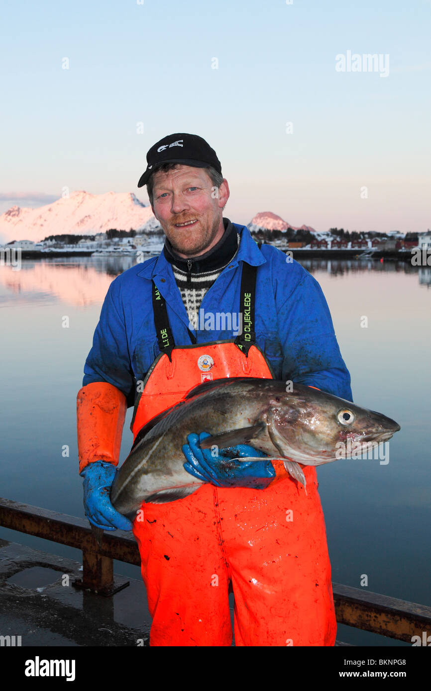 A fisherman holds one of his line-caught cod fish in Ballstad fishing ...