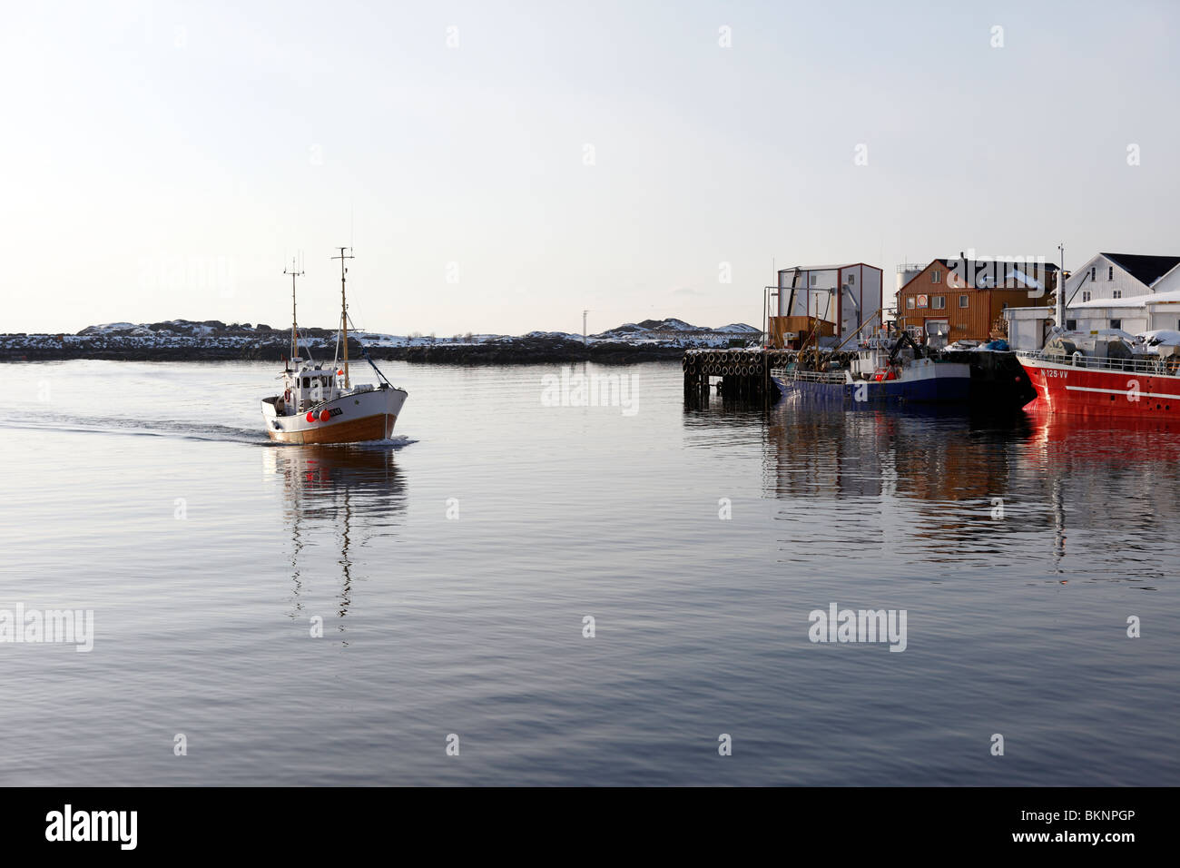 Trawler returns to harbour after fishing for cod in Ballstad fishing ...