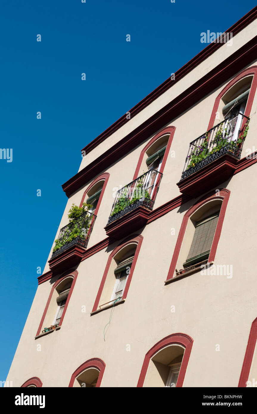 Apartment Windows in Seville Stock Photo - Alamy
