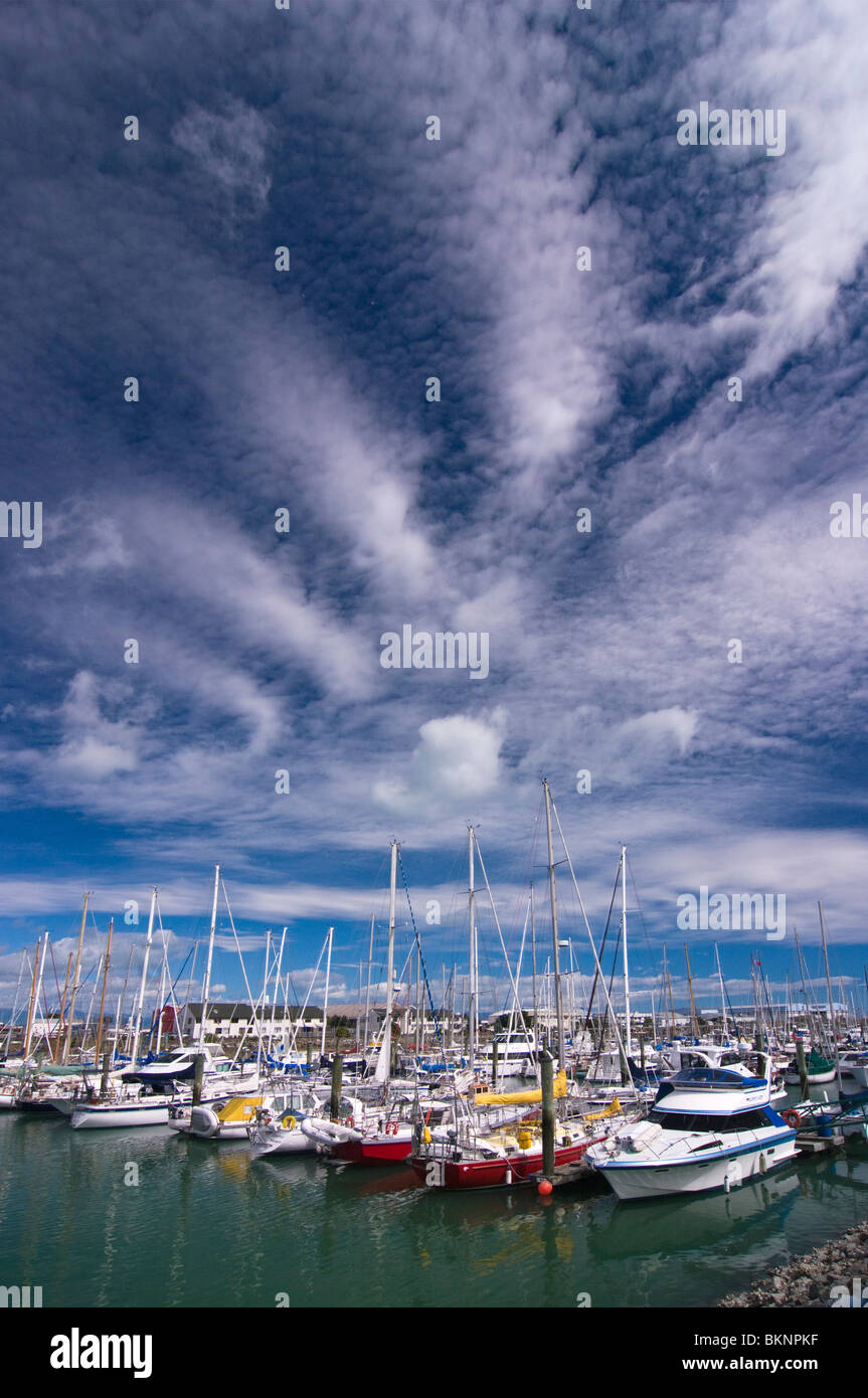 Yachts and motor launches moored in a marina, Nelson, New Zealand Stock ...