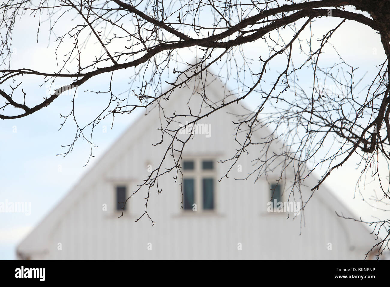 A typical wooden house in the port of Narvik (Ofotfjord) in Norway ...