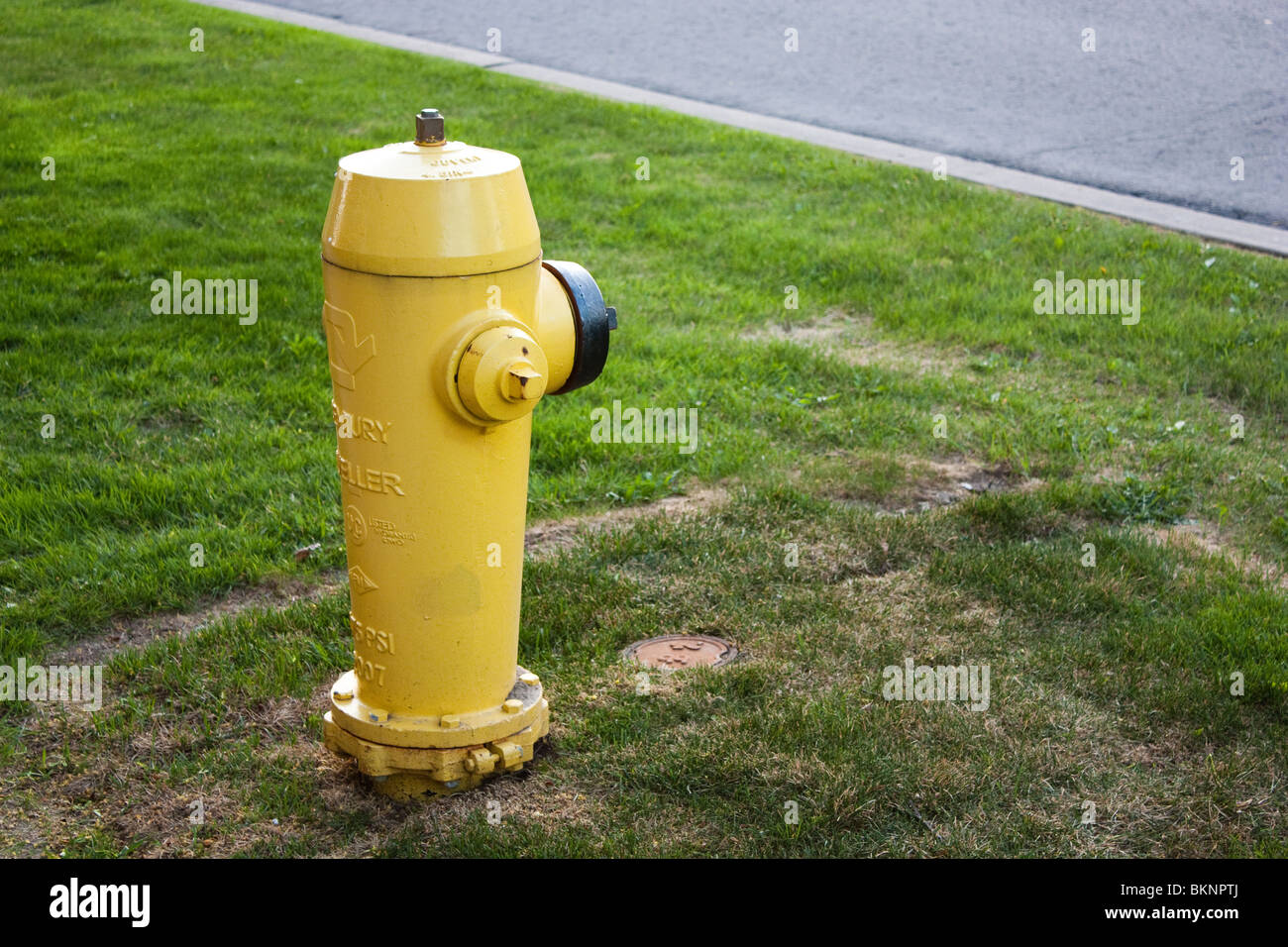 yellow fire hydrant grass road safety Stock Photo - Alamy