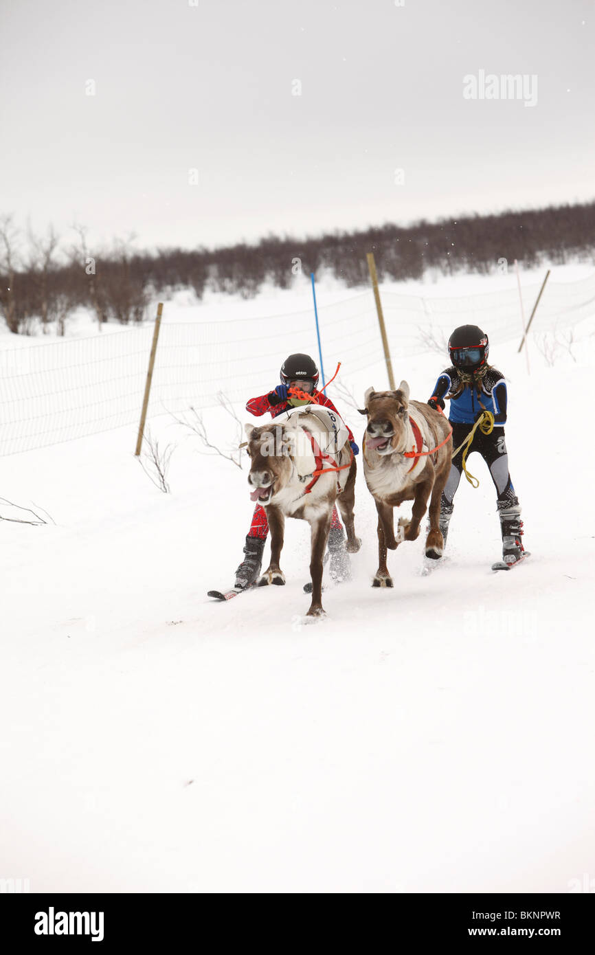 Reindeer Racing World Cup, held during the Sámi Easter Festival in ...