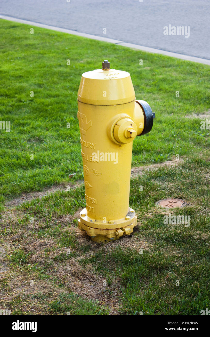 yellow fire hydrant grass road safety Stock Photo - Alamy
