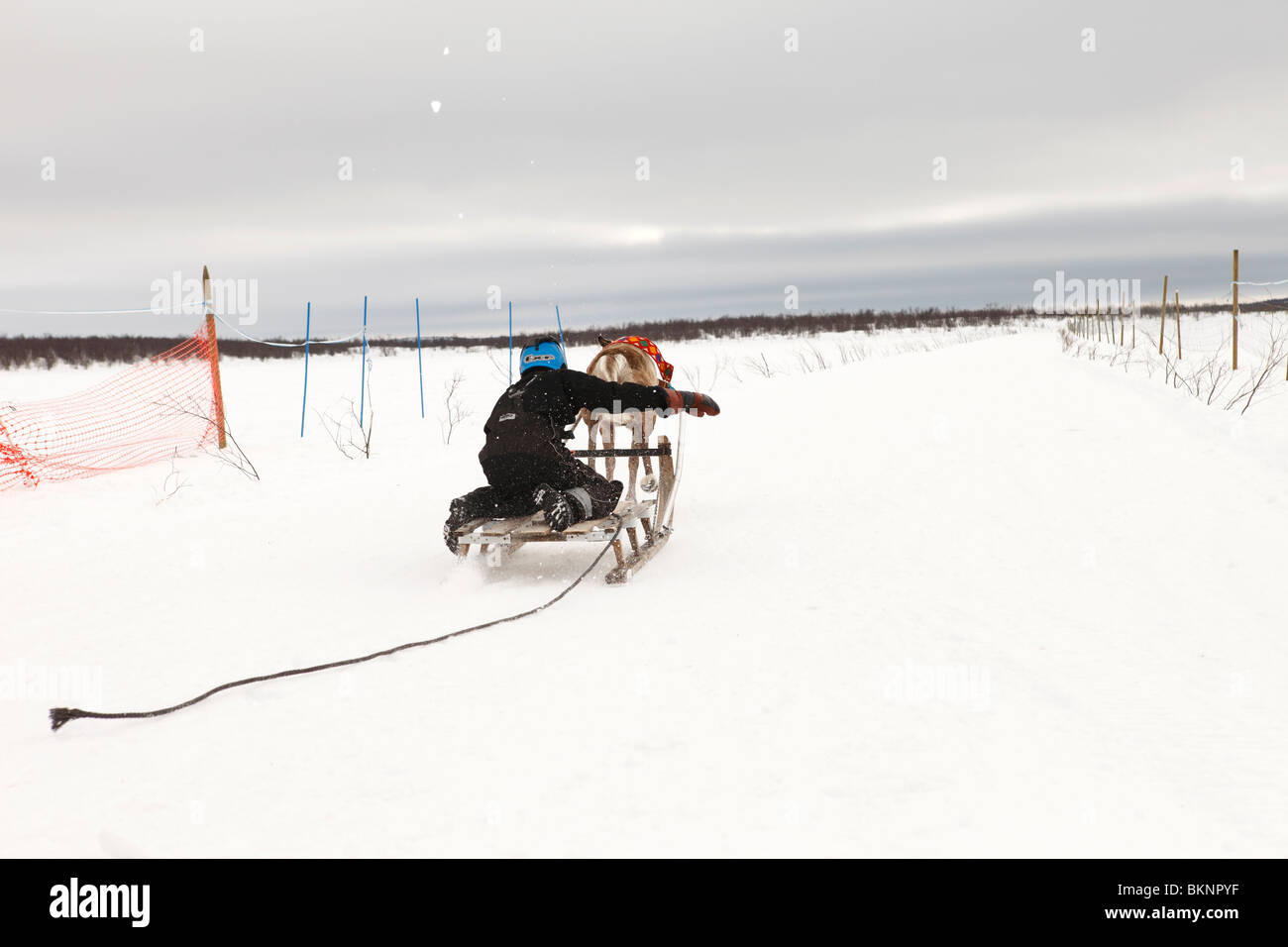 Reindeer Racing World Cup, held during the Sámi Easter Festival in ...