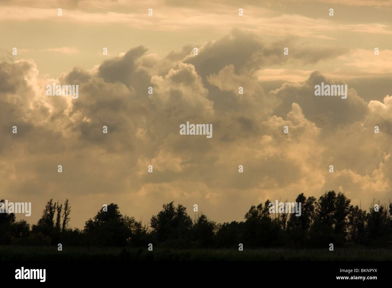 Clouds in evening light Stock Photo - Alamy