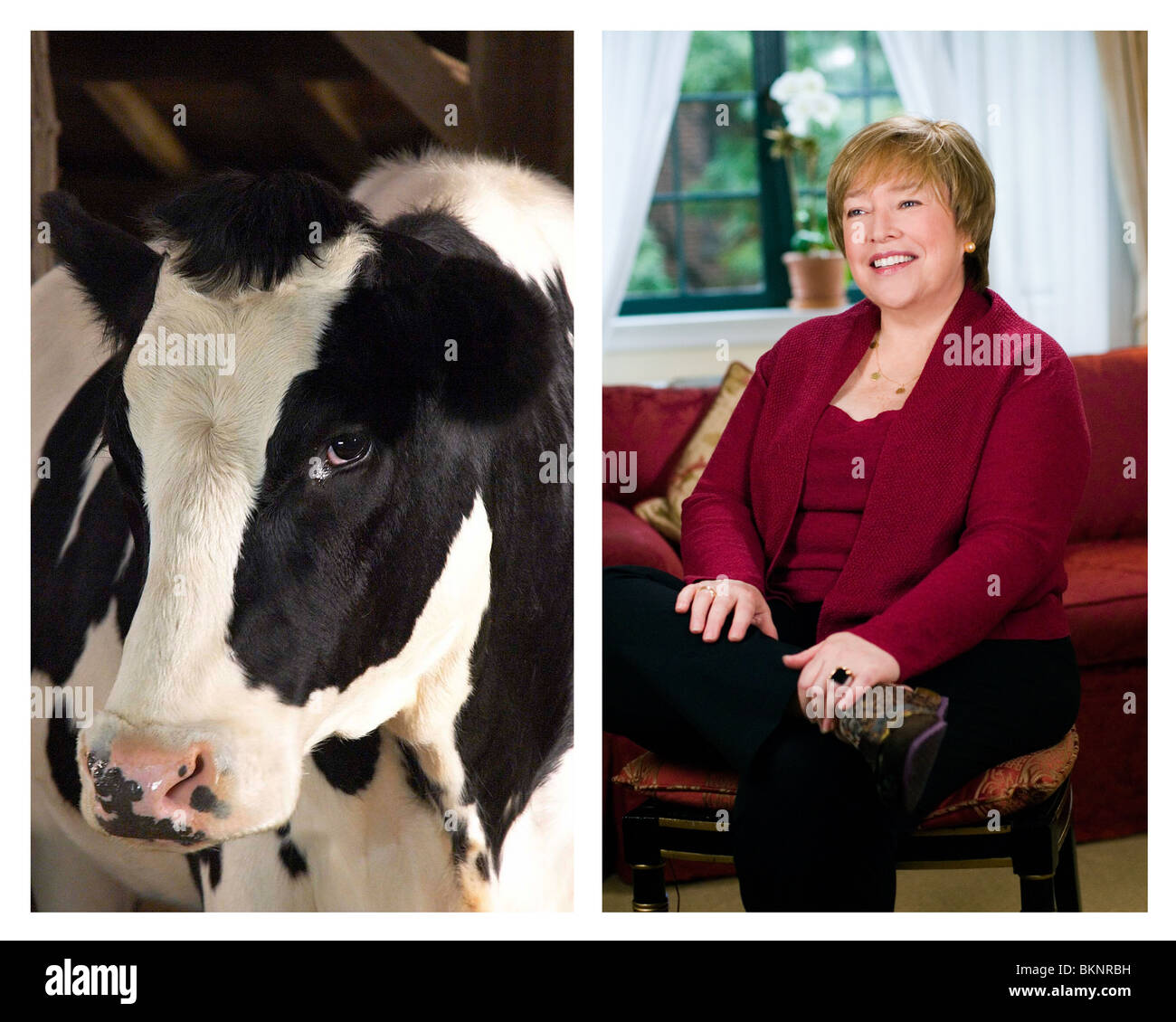 Kathy bates charlottes web film hi-res stock photography and images - Alamy