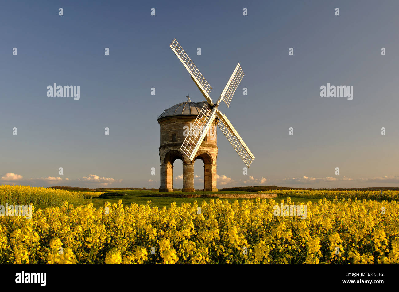 Chesterton Mill and yellow rape field, Warwickshire, England, UK Stock ...