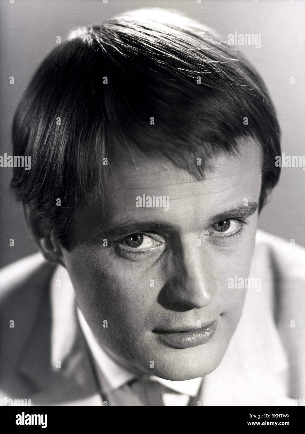 Elizabeth Mccallum's Instagram, Twitter & Facebook on IDCrawl