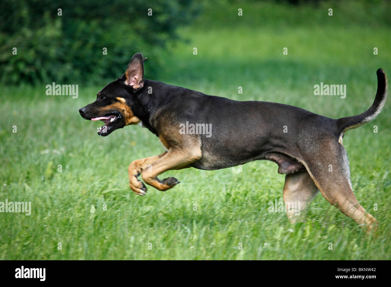 Token schwarz hi-res stock photography and images - Alamy