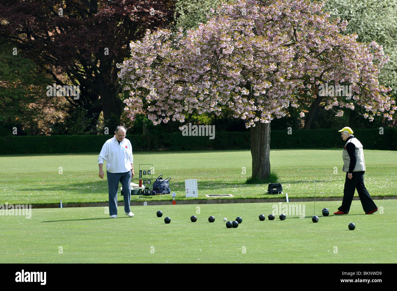 Bowling green in Memorial Park, Coventry, West Midlands, England, UK ...