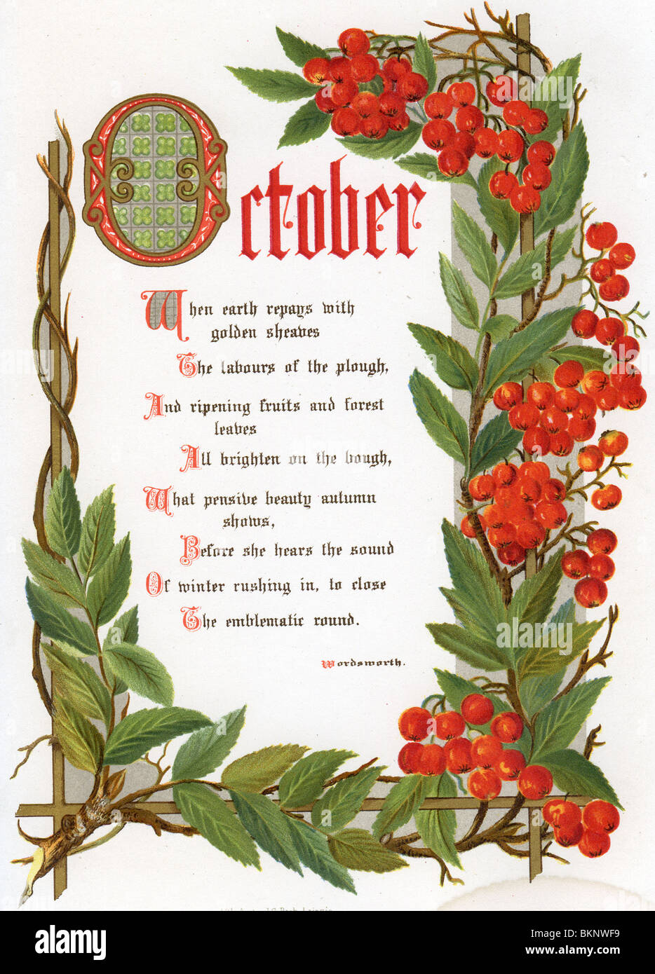 October - Berries Stock Photo - Alamy