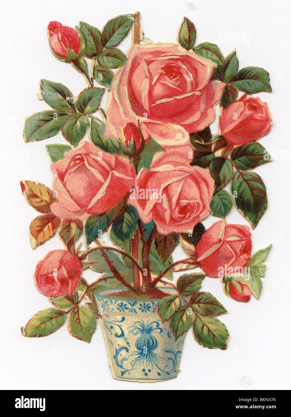 Pink Roses in a Ceramic Pot Stock Photo - Alamy