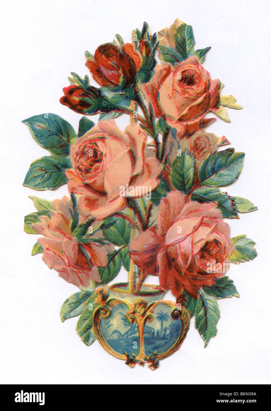 Red rose flower pot hi-res stock photography and images - Alamy