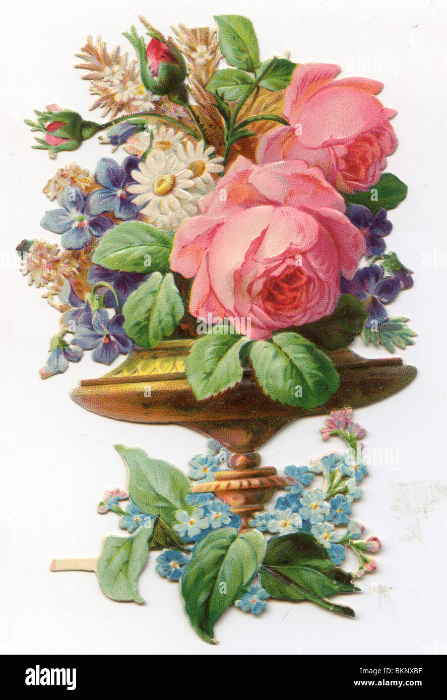 Forget Me Nots Container High Resolution Stock Photography and Images ...