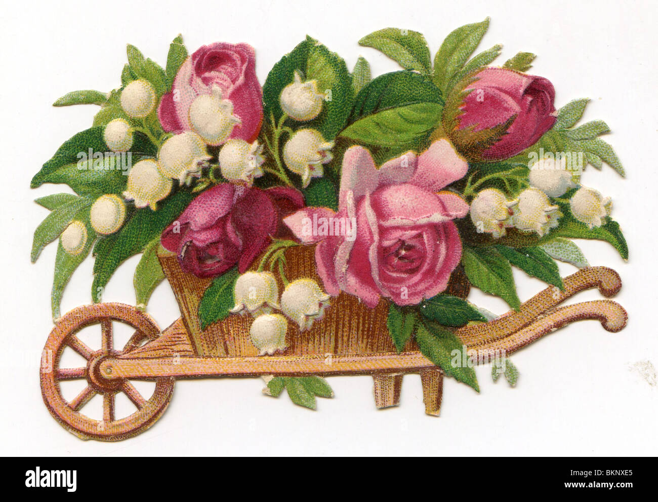 Pink red roses lily valley hi-res stock photography and images - Alamy
