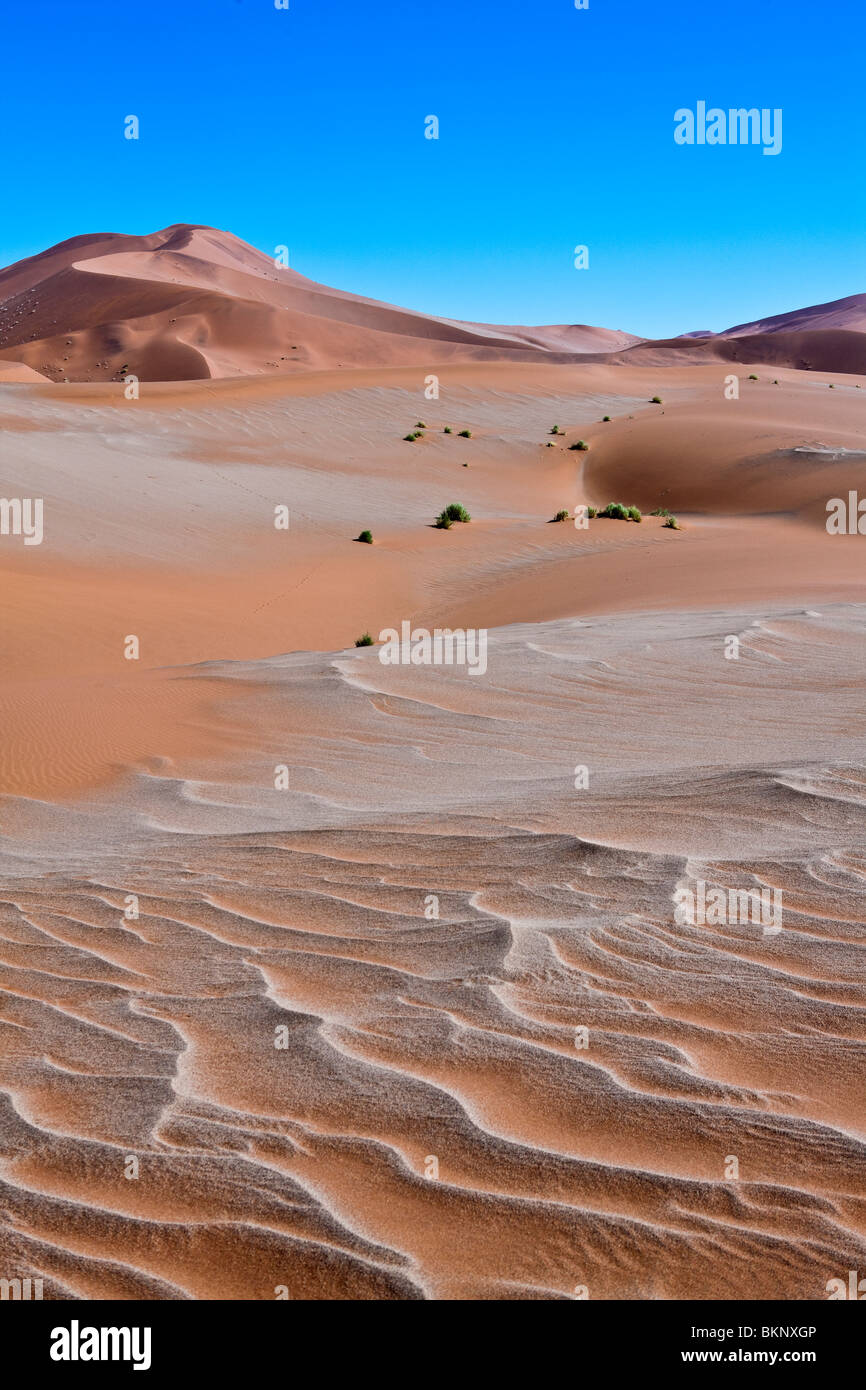 Namibia,Sossusvlei area,the Namib desert Stock Photo - Alamy