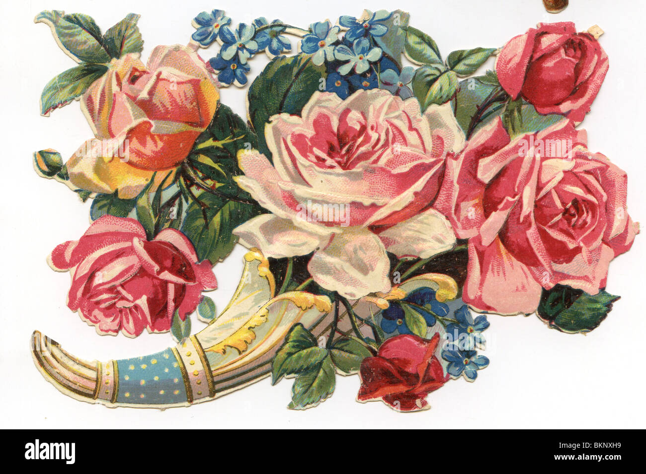 Pink Roses and Forget-Me-Nots Stock Photo - Alamy