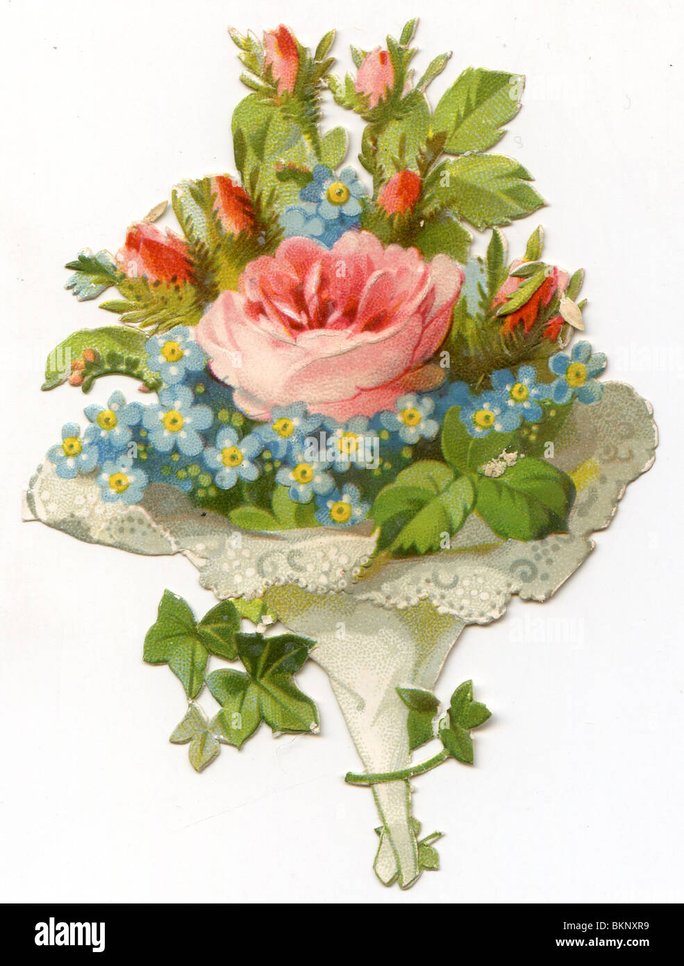 Pink Rose with Forget-Me-Nots Stock Photo - Alamy