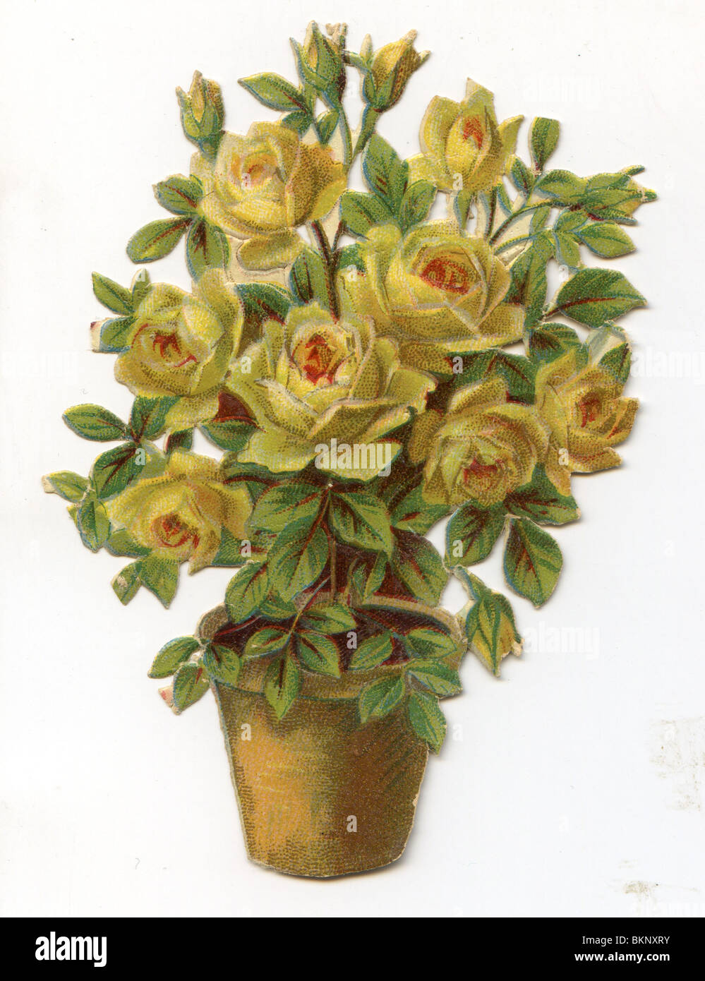 Yellow ceramics hi-res stock photography and images - Alamy