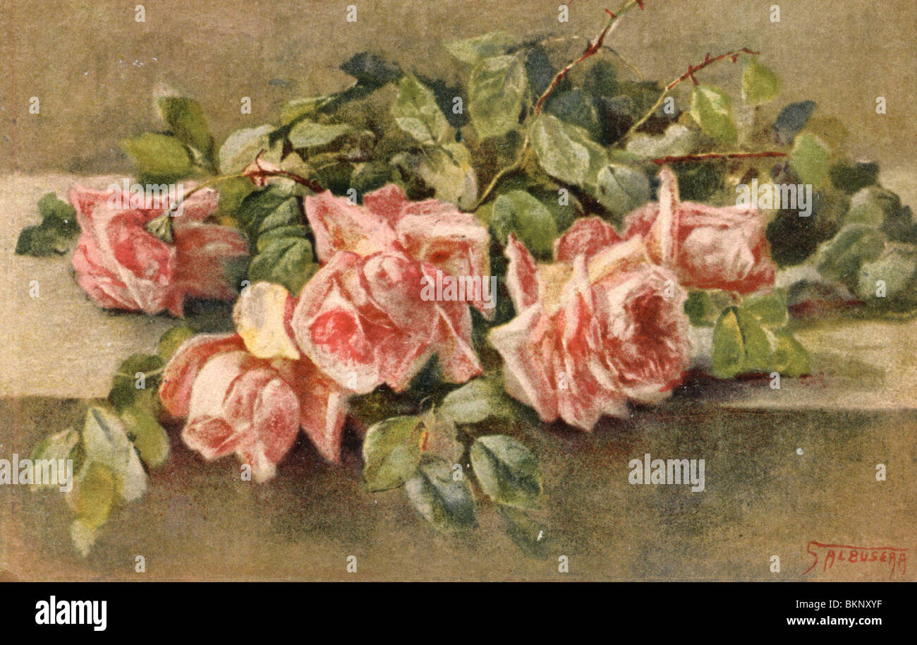 Study of Pink Roses Stock Photo - Alamy