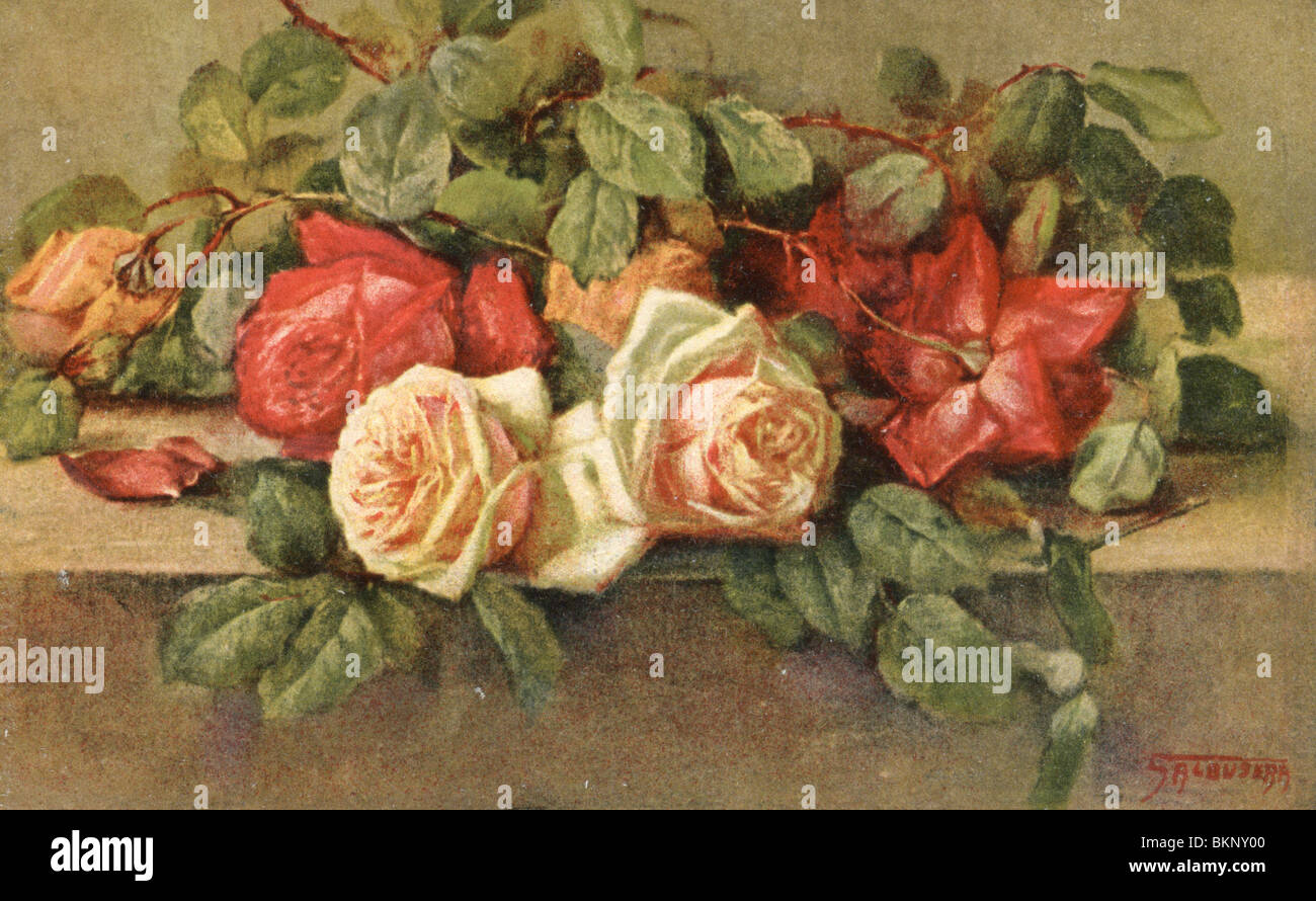 Study of Pink and Red Roses Stock Photo - Alamy