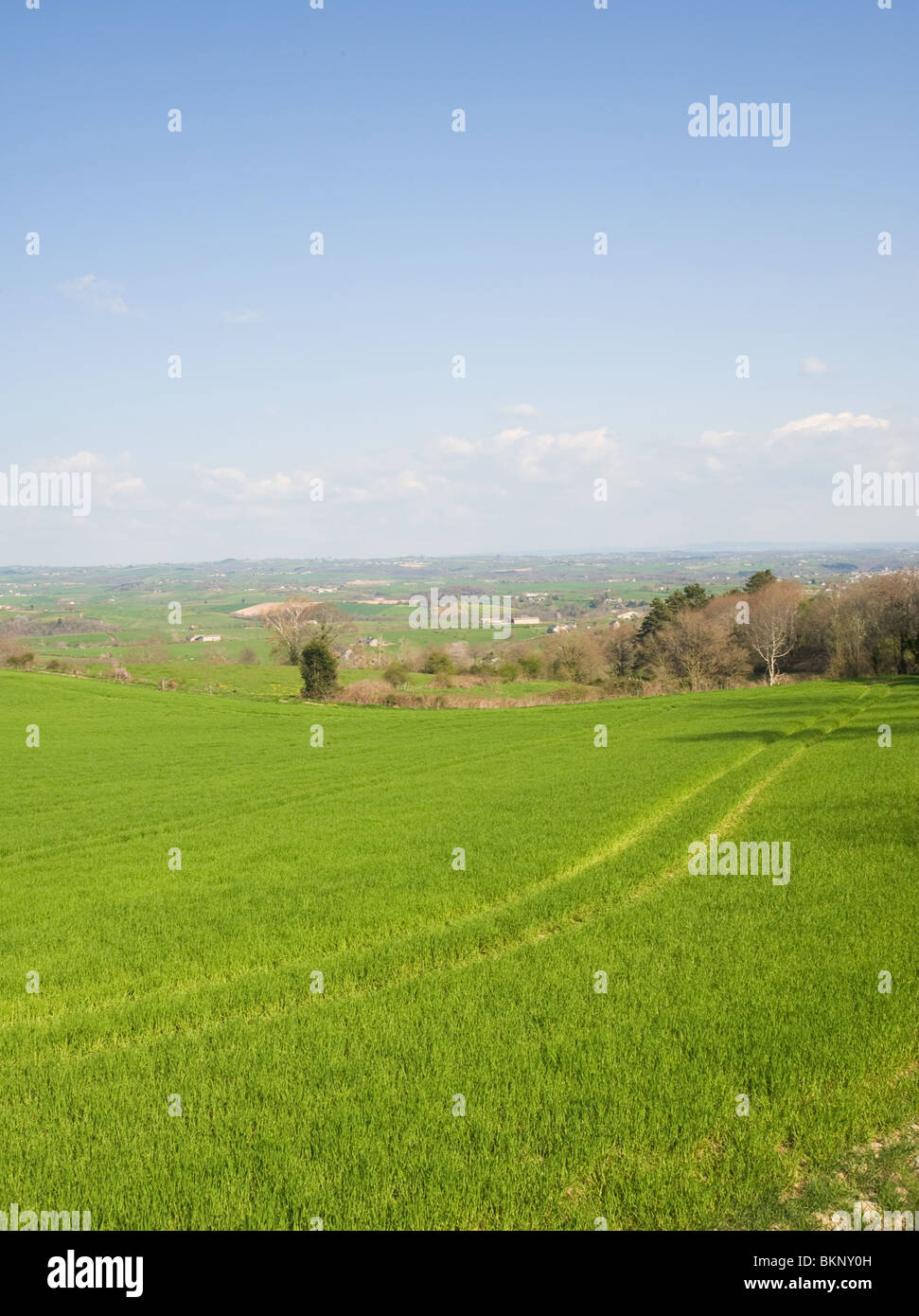 Large fields hi-res stock photography and images - Alamy