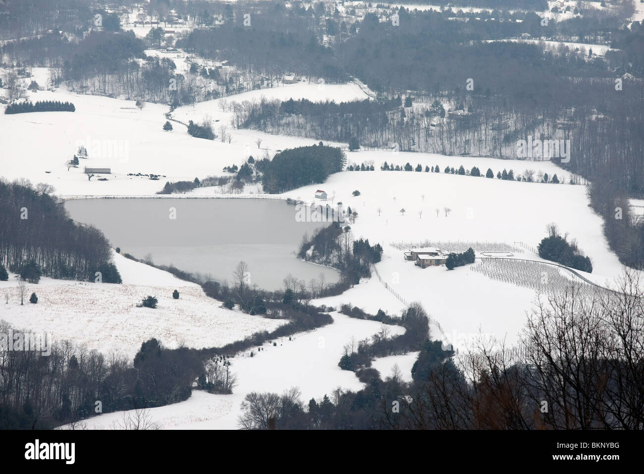 Snowfall in Charlottesville, VA Stock Photo - Alamy