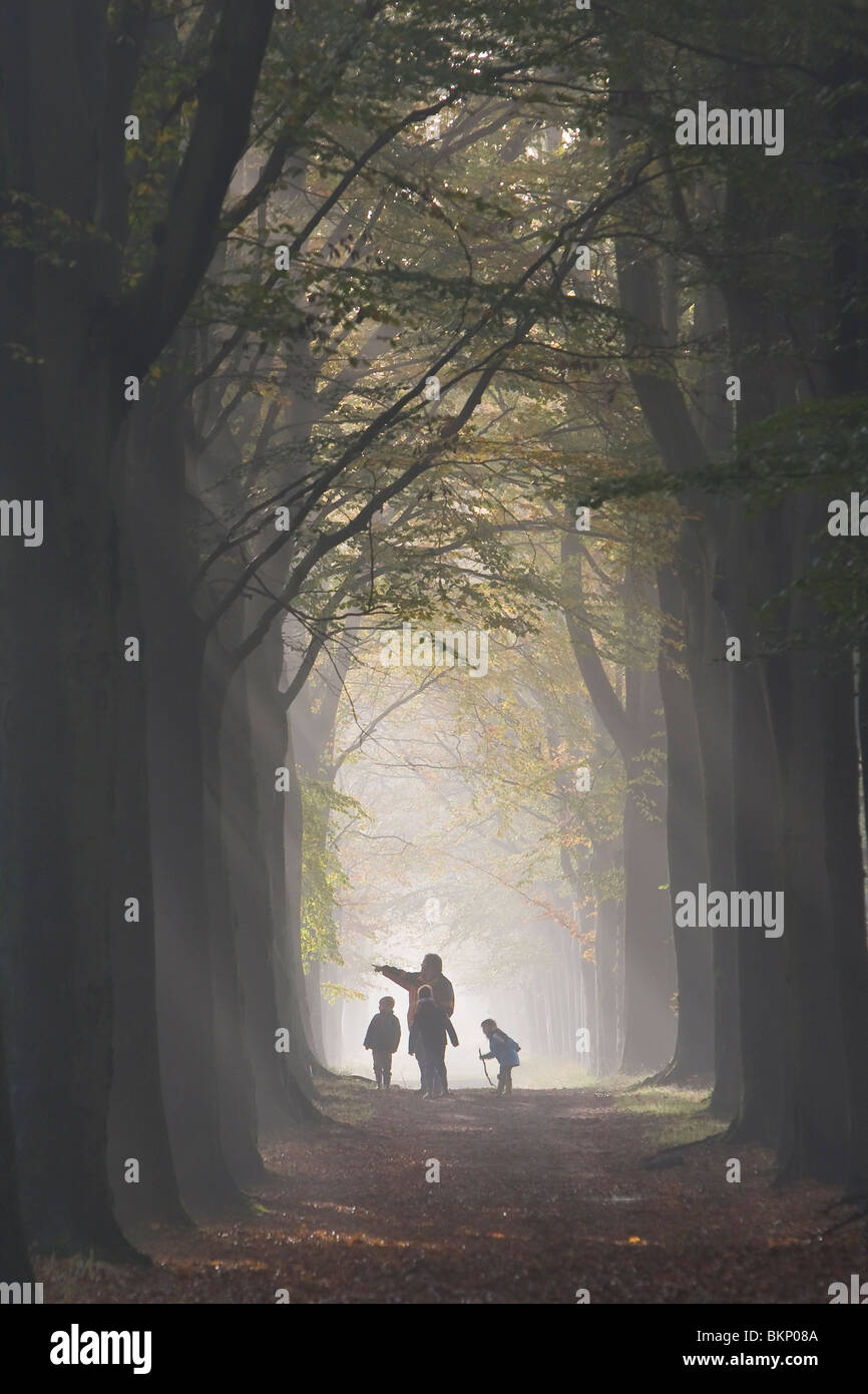 Man In Forrest Not Running High Resolution Stock Photography and Images ...