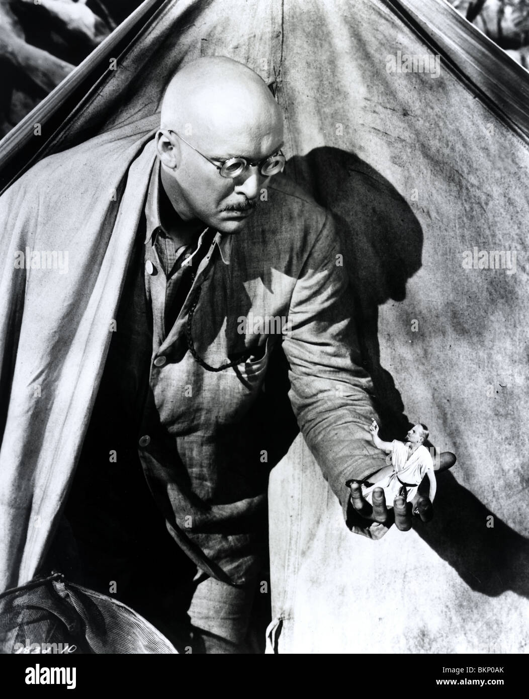 DR CYCLOPS (1940) ALBERT DEKKER ERNEST SCHOEDSACK (DIR) DCYC 004P Stock ...