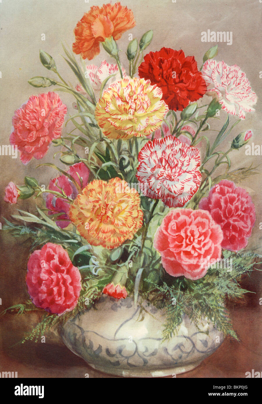 Carnation vase hi-res stock photography and images - Alamy