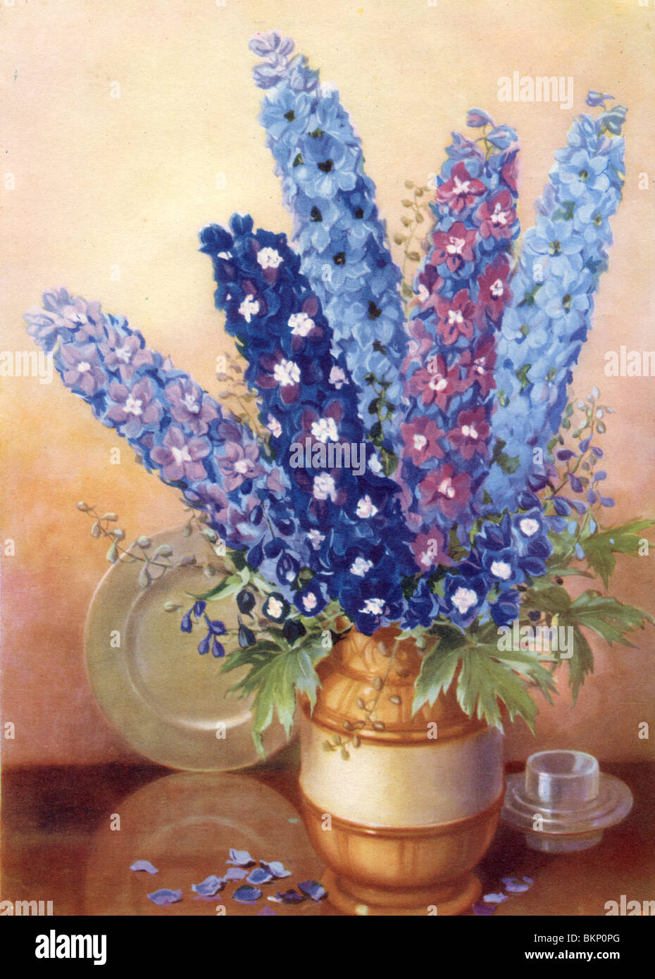Blue delphiniums hi-res stock photography and images - Alamy