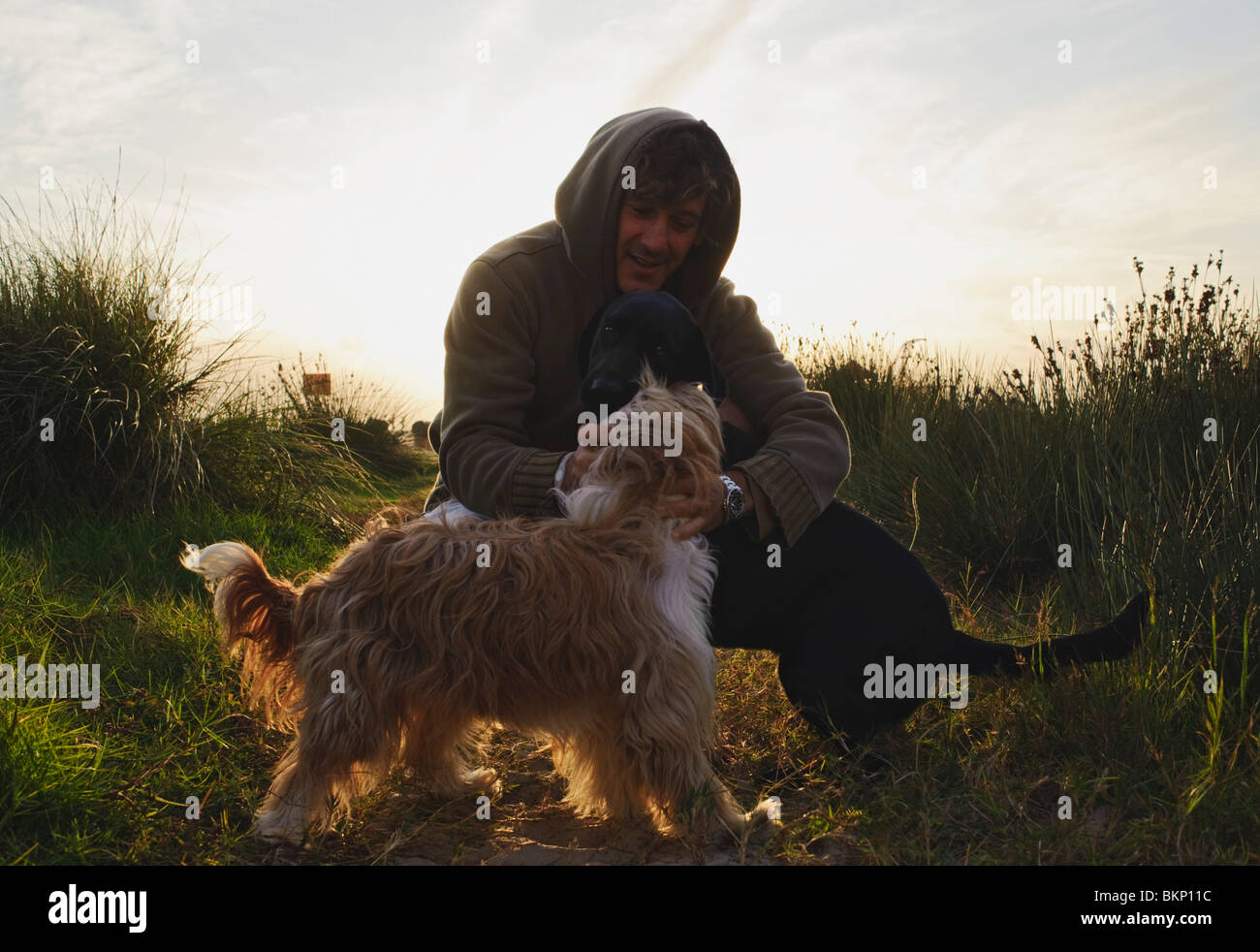 A Man With His Two Dogs Stock Photo - Alamy