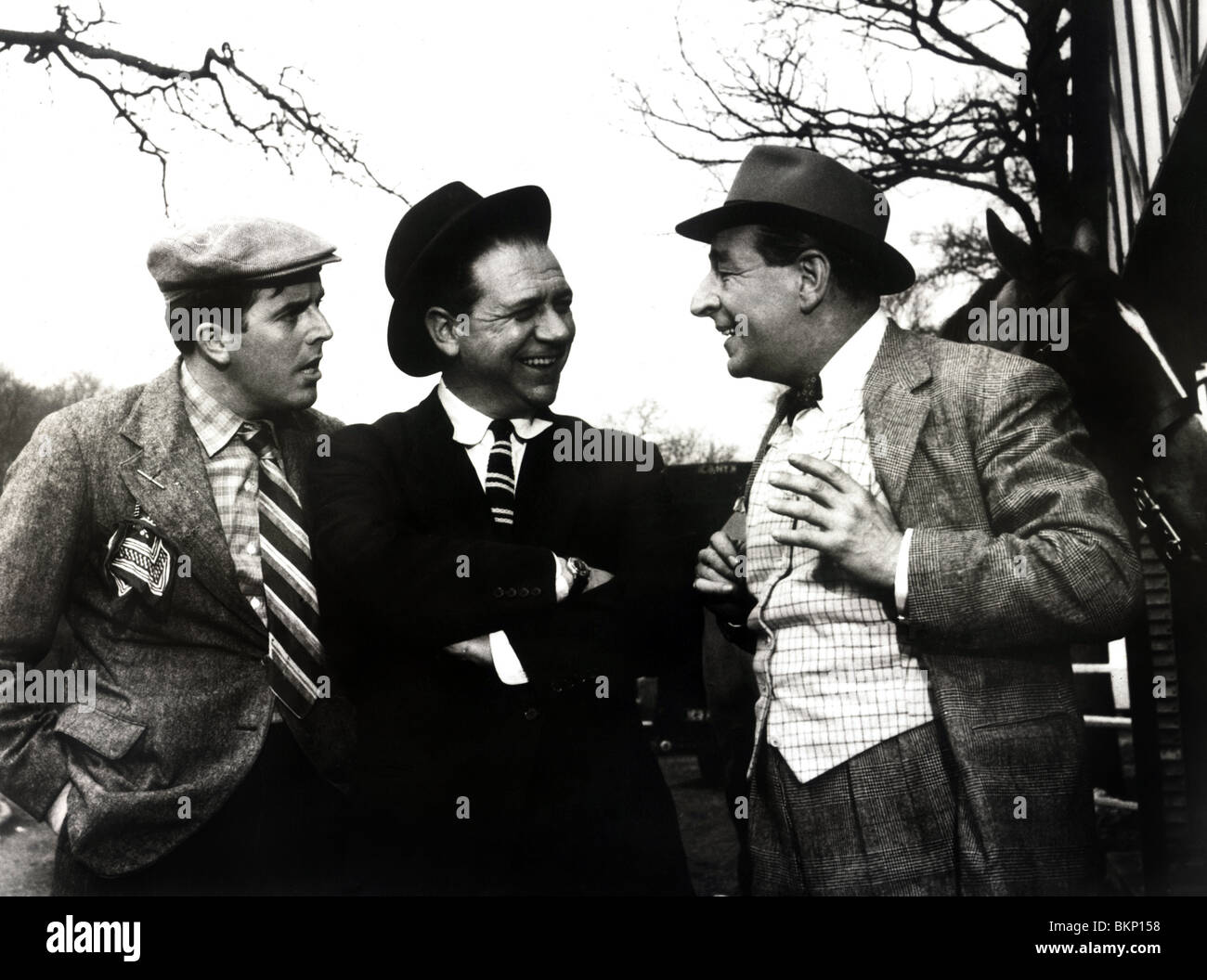 DRY ROT (1956) RONALD SHINER, SIDNEY JAMES, BRIAN RIX MAURICE ELVEY ...