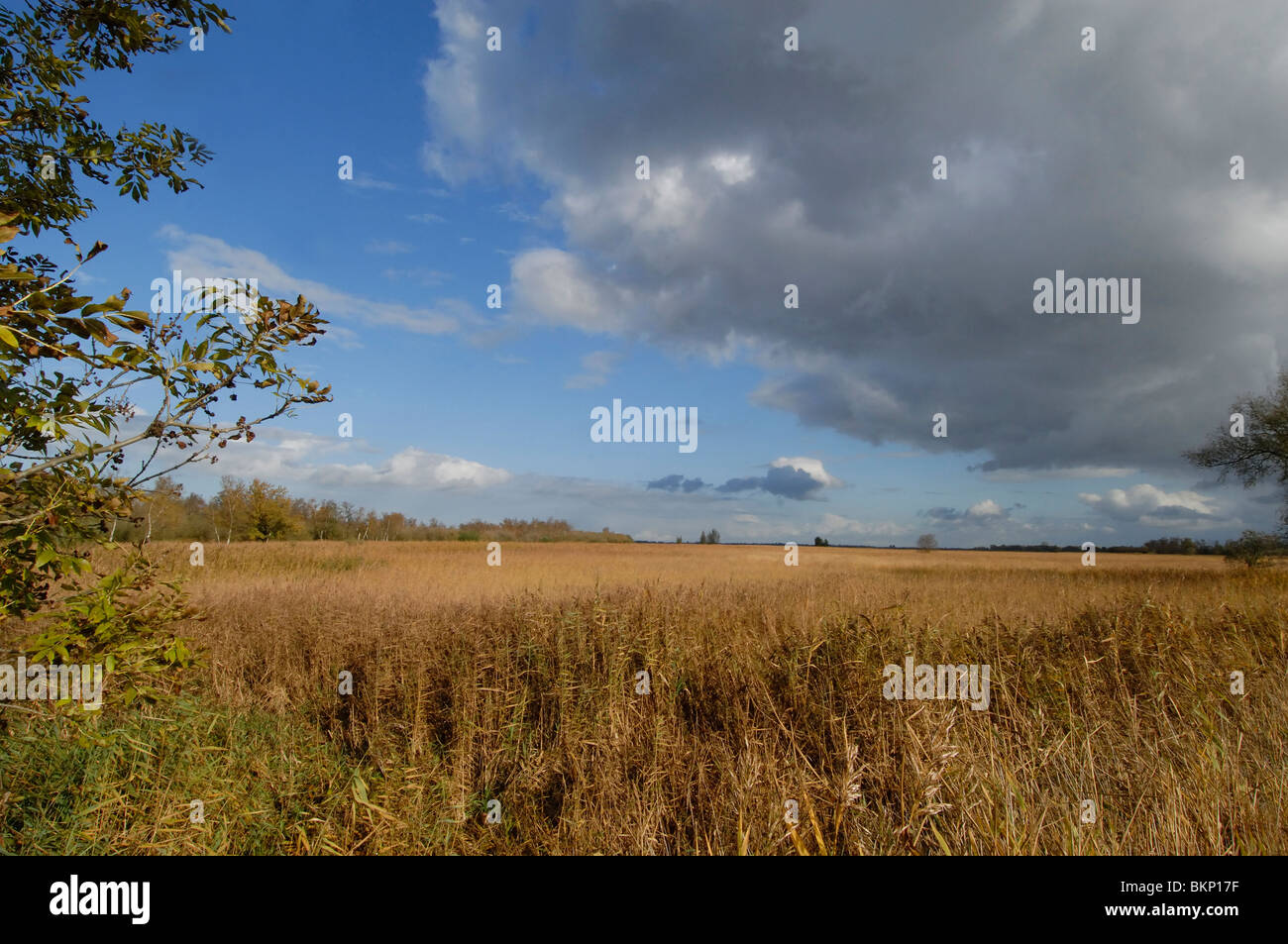 Holken High Resolution Stock Photography and Images - Alamy