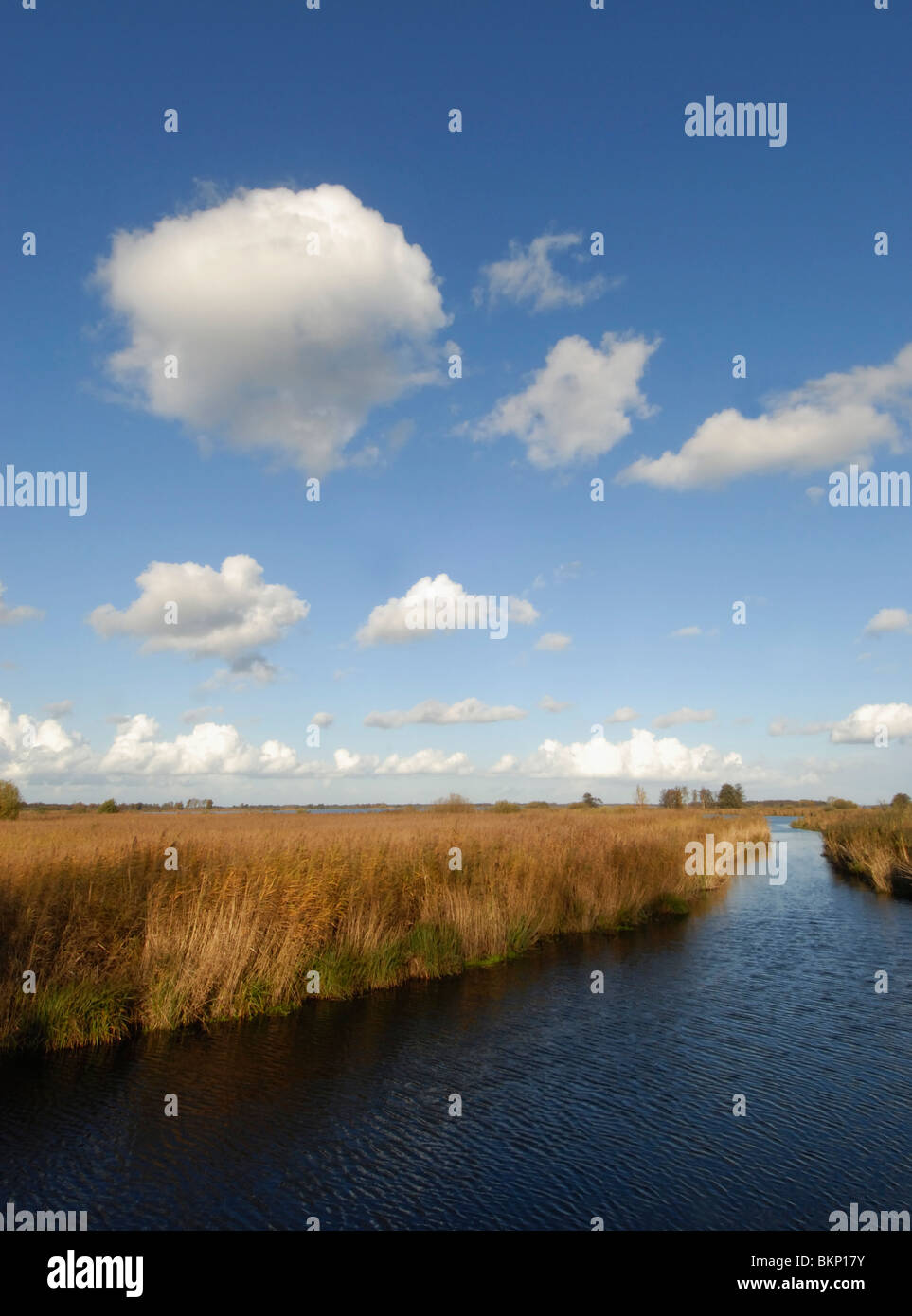 De Holken in de herfst, verticaal Stock Photo - Alamy