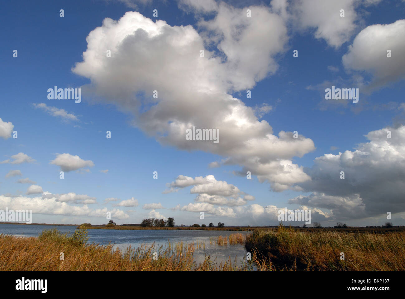 Holken High Resolution Stock Photography and Images - Alamy
