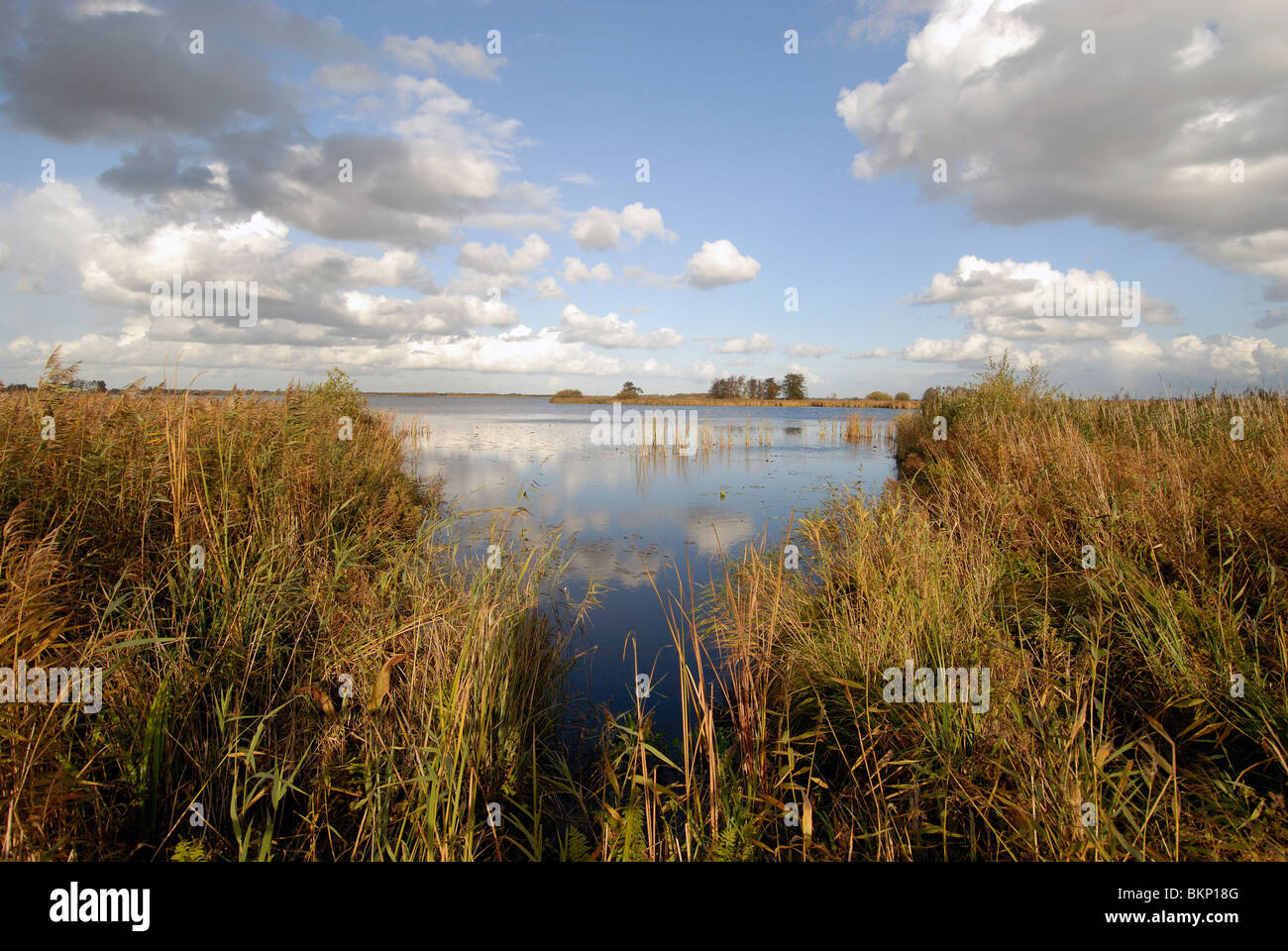 Holken hi-res stock photography and images - Alamy