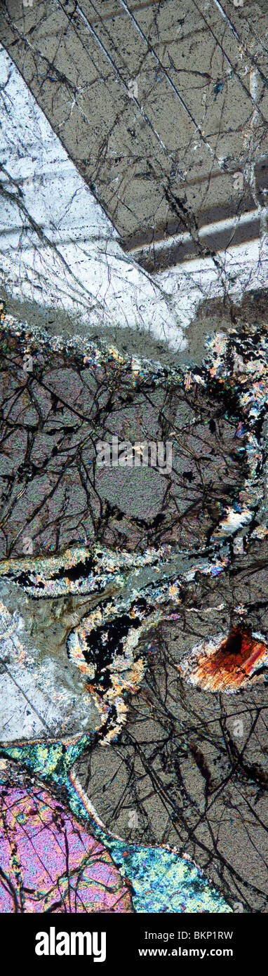 Tertiary color hi-res stock photography and images - Alamy