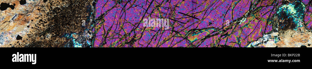 Peroditite Tertiary rock sample photographed to show mineral colours in ...