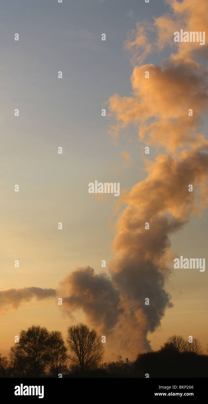 Sky trees smoke hi-res stock photography and images - Alamy