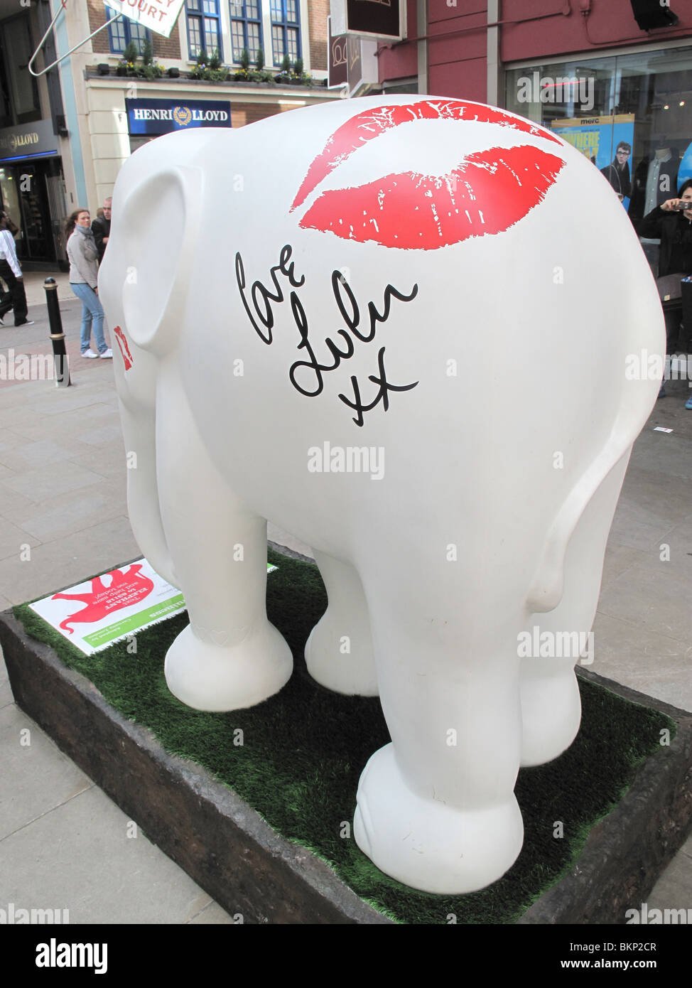 Elephant endangered species Parade painted artists artistic colourful ...