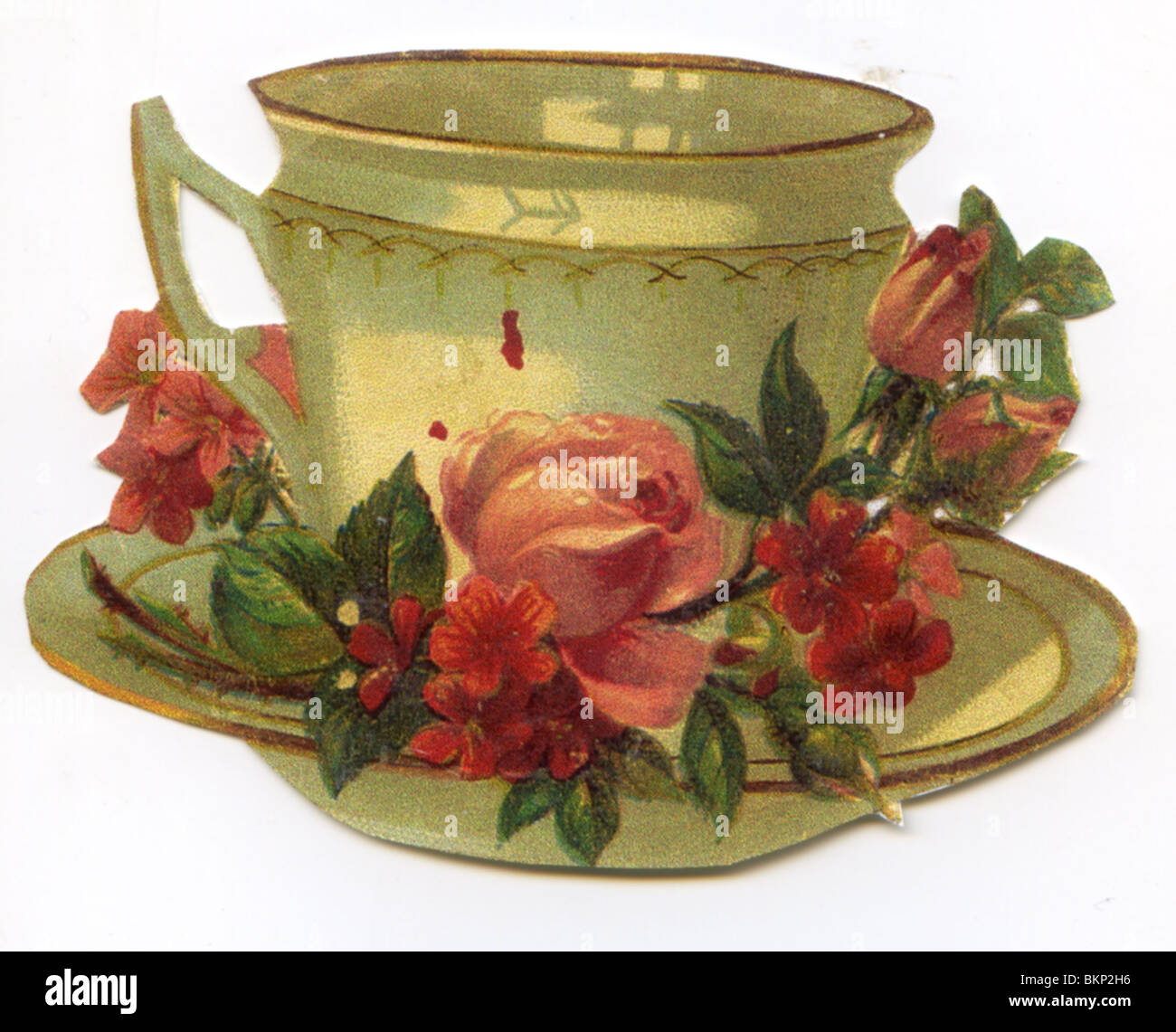 Beige Tea Cup and Saucer with Gold Detail and Pink Roses Stock Photo ...