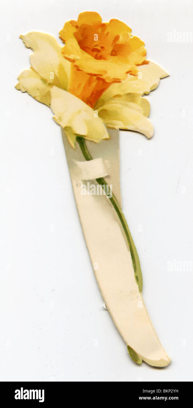 Daffodil painting Cut Out Stock Images & Pictures - Alamy